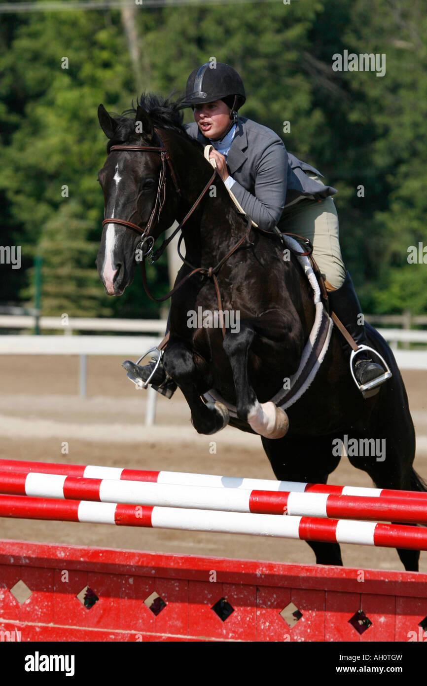 Show jumping oxer Banque de photographies et d’images à haute ...