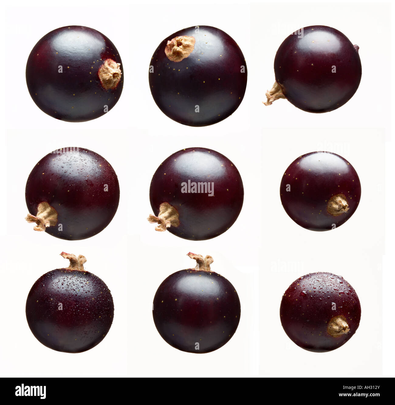 Fruit de cassis Banque d'image et photos - Alamy