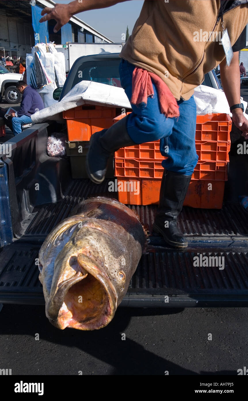 étal de poisson mexique Banque de photographies et d’images à haute ...