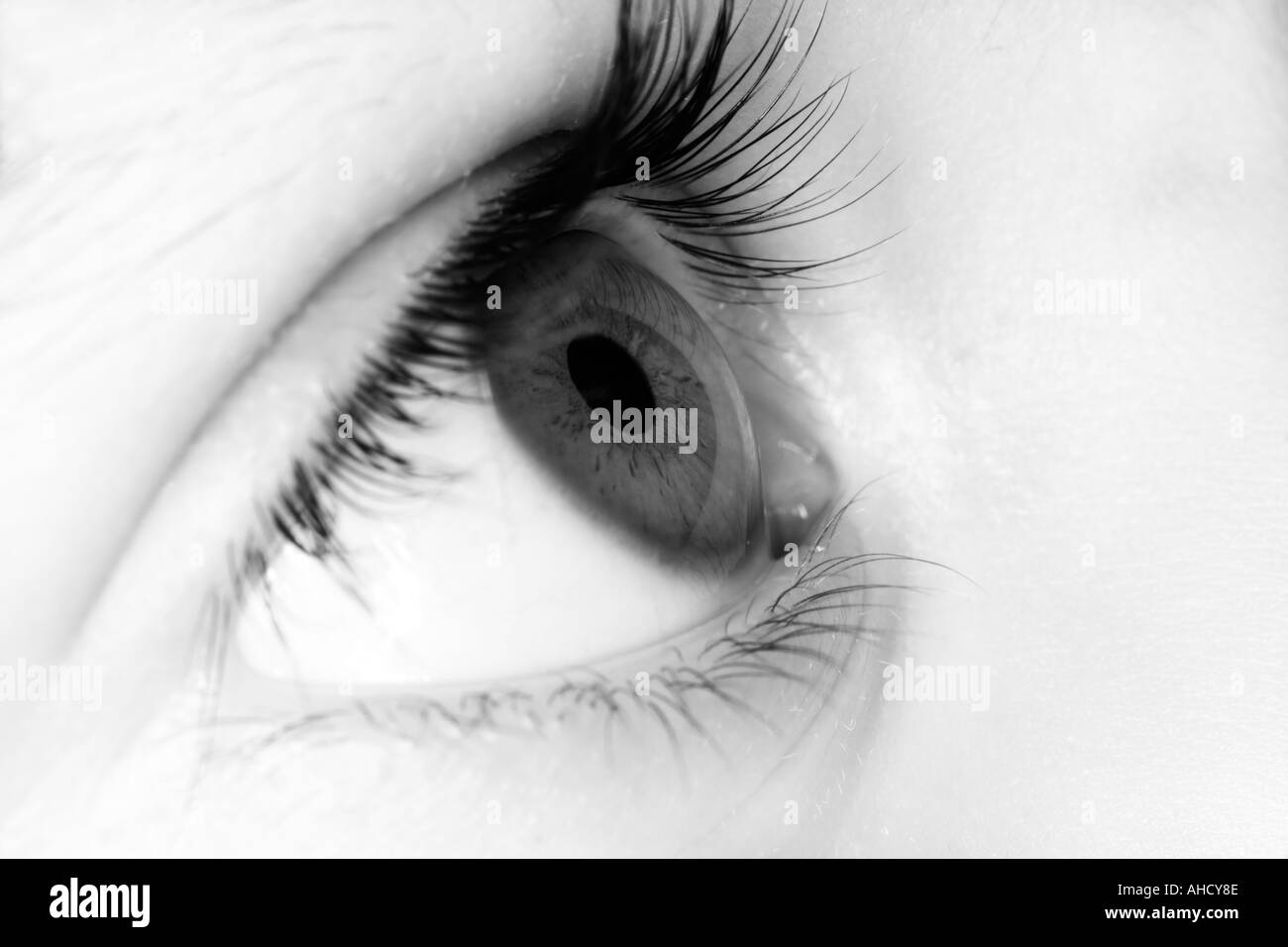 Regard oculaire Banque d'images noir et blanc - Alamy