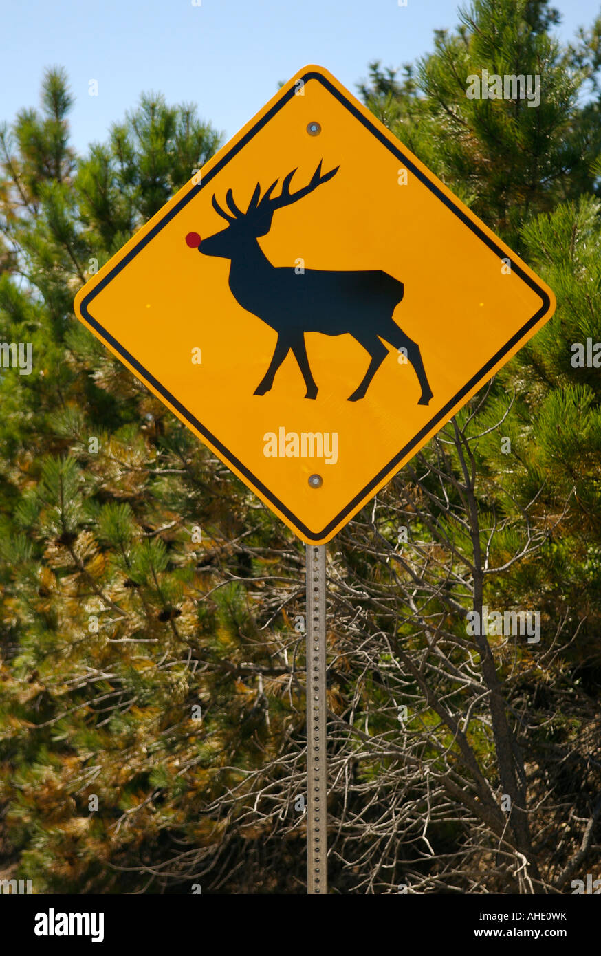 Elk crossing sign transformé en un Rudolf the Red Nosed Reindeer ...