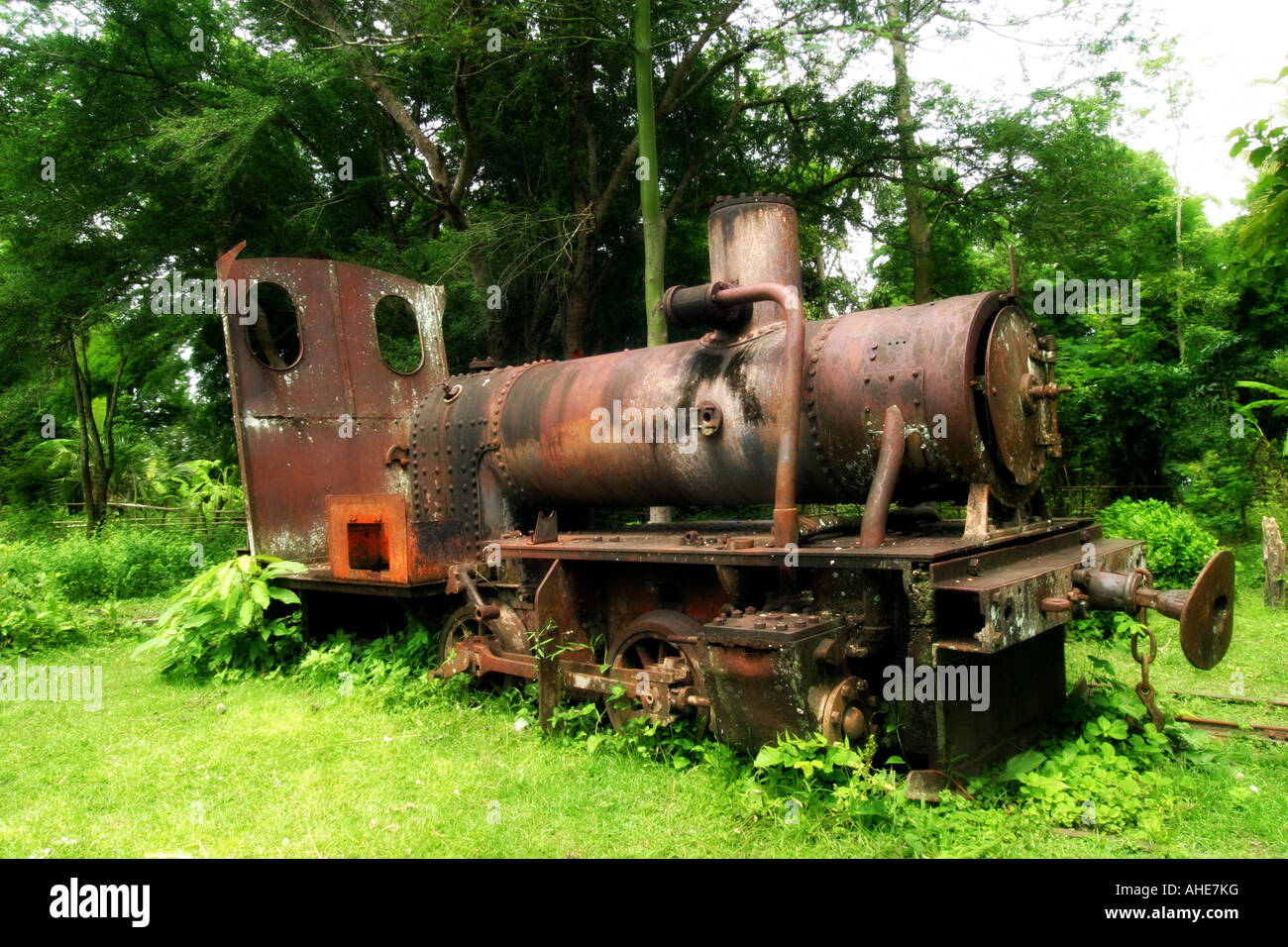 Jungle railway Banque de photographies et d’images à haute résolution ...
