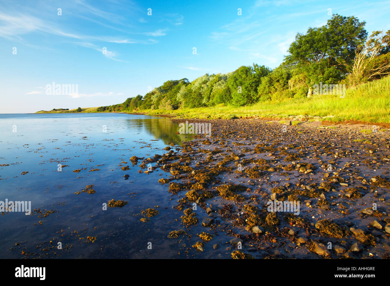 Northumberland ENGLAND Budle Bay. Le littoral de Budle Bay près de ...