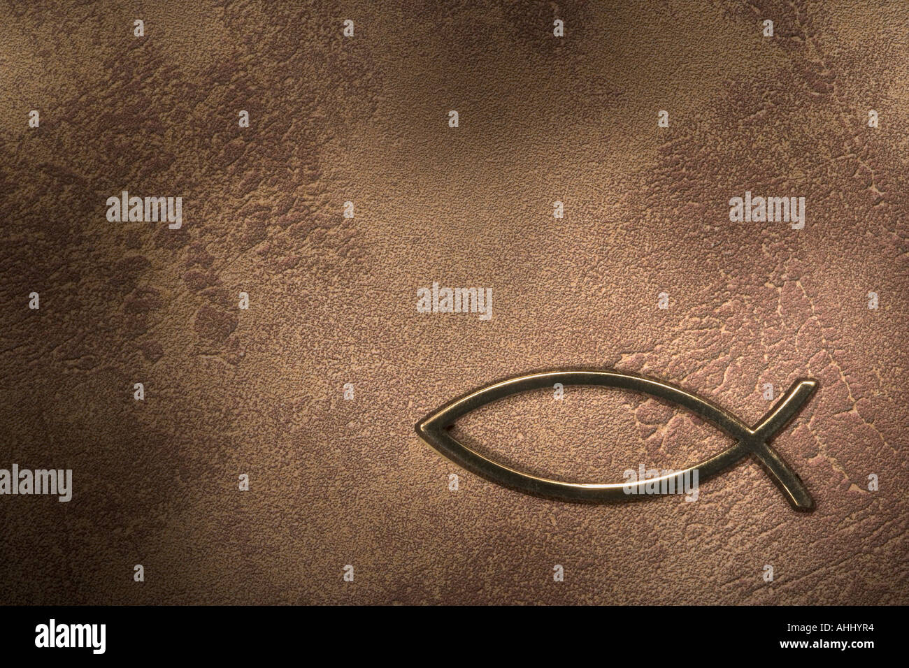 Jesus fish Banque de photographies et d’images à haute résolution - Alamy