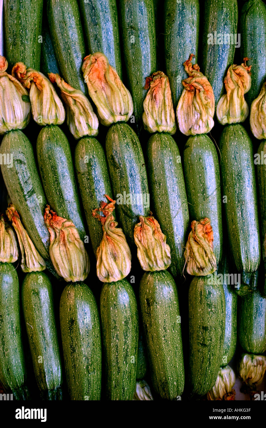 Courgette firenze Banque de photographies et d’images à haute ...