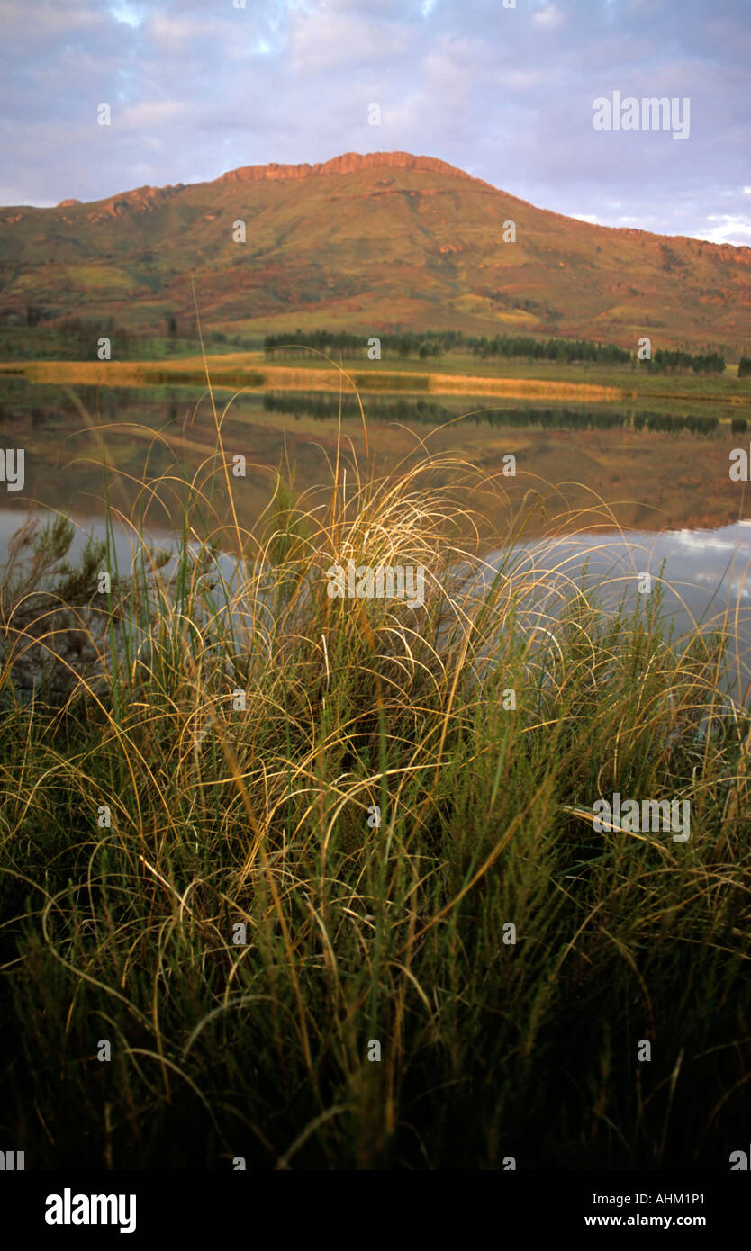 Hogsback eastern cape Banque de photographies et d’images à haute ...