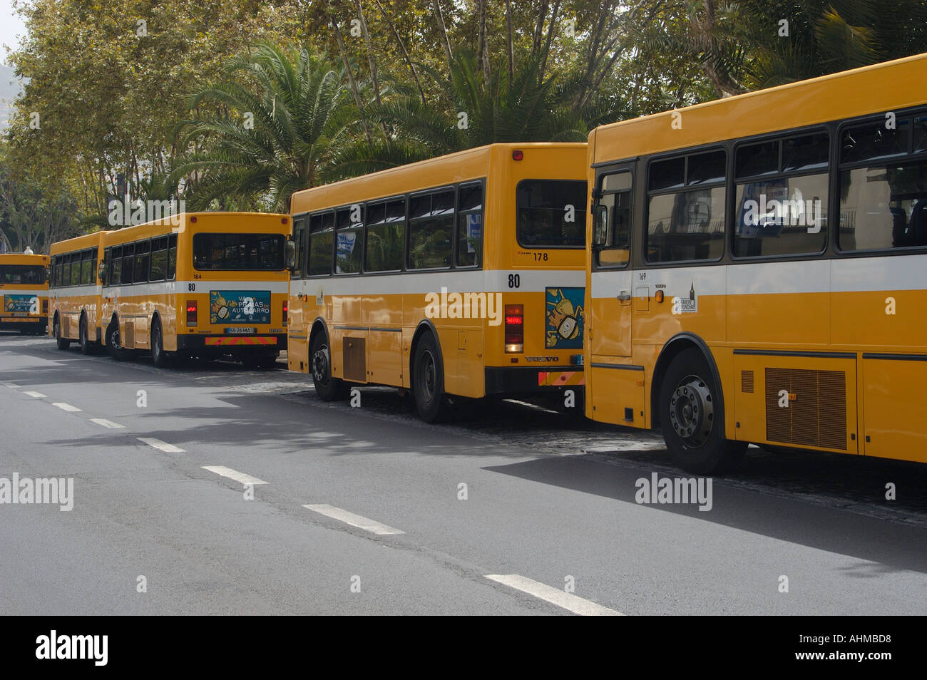 Bus madeira funchal yellow Banque de photographies et d’images à haute ...