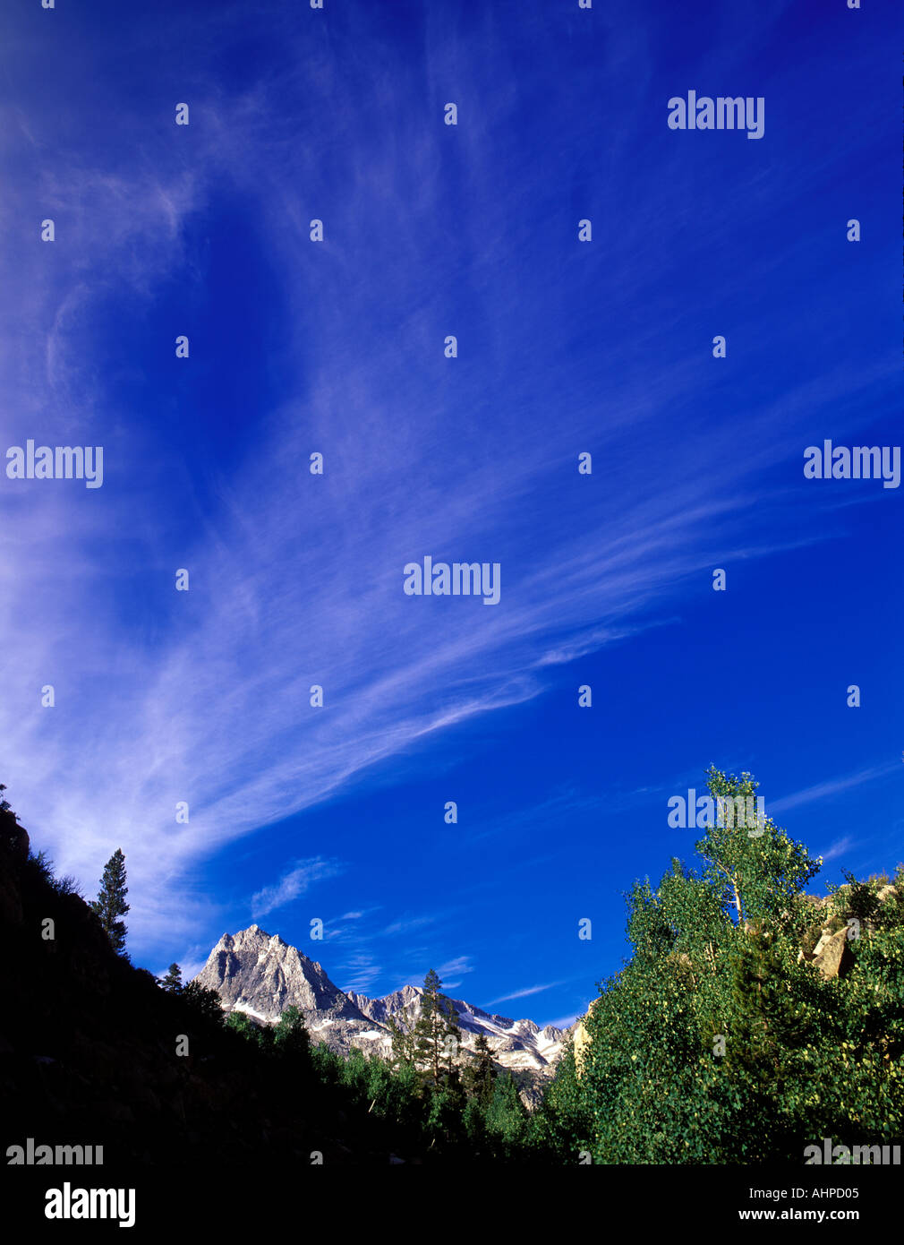 Inconsolable range Banque de photographies et d’images à haute ...