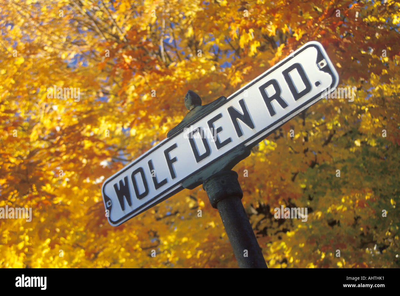 Wolf den Banque de photographies et d’images à haute résolution - Alamy