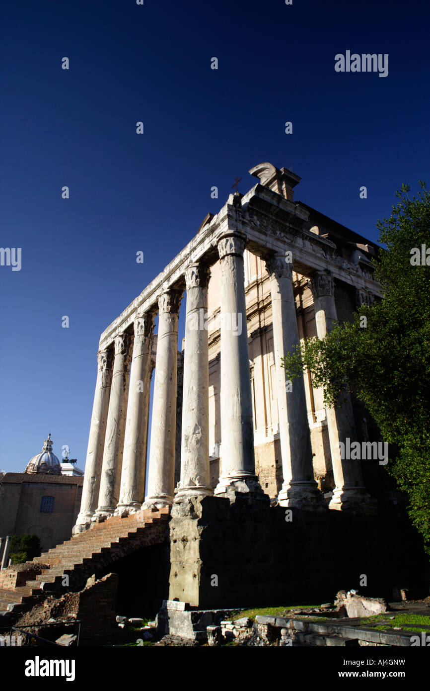 Portique de temple d'Antonin et Faustine, Forum Romain, Rome Photo ...
