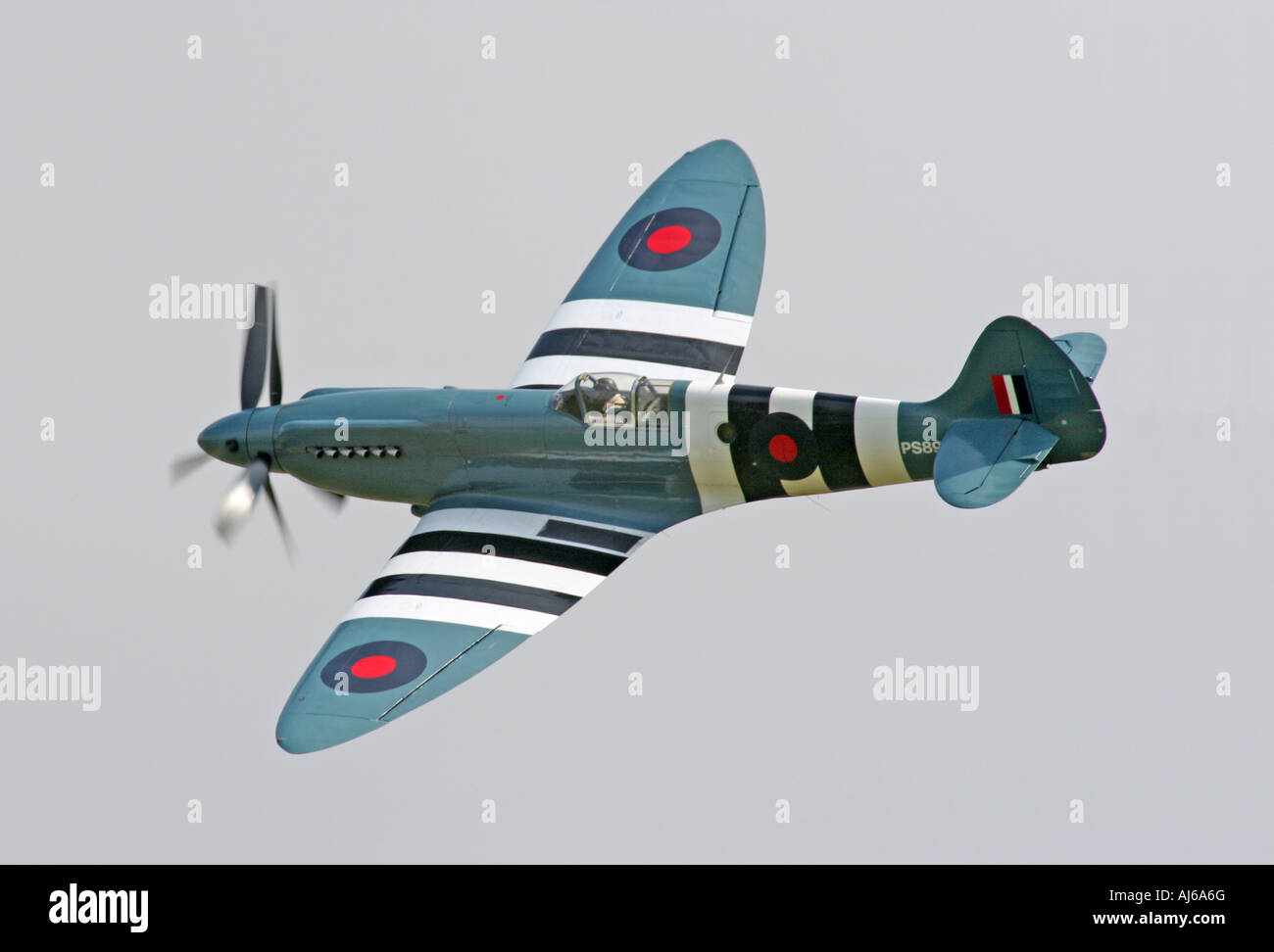 Griffon engined spitfire contra rotating propellers Banque d'image et ...