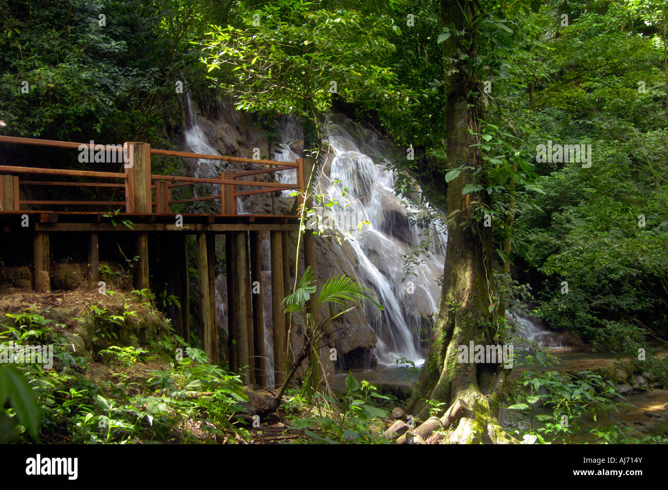 Parque nacional palenque Banque de photographies et d’images à haute résolution - Alamy