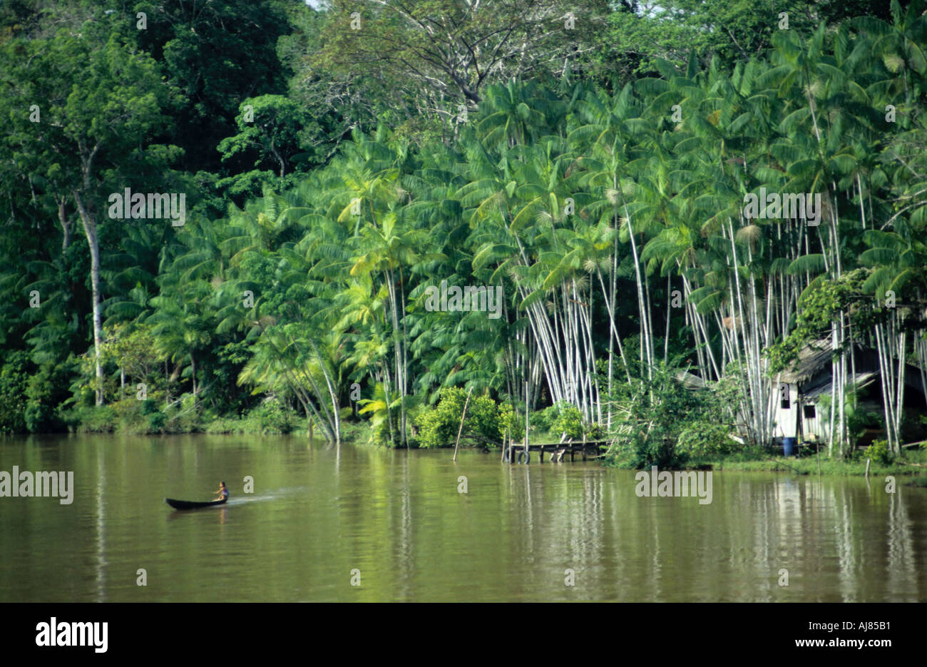 Canoë indien d'Amazonie, forêt et rivière, Brésil Photo Stock - Alamy