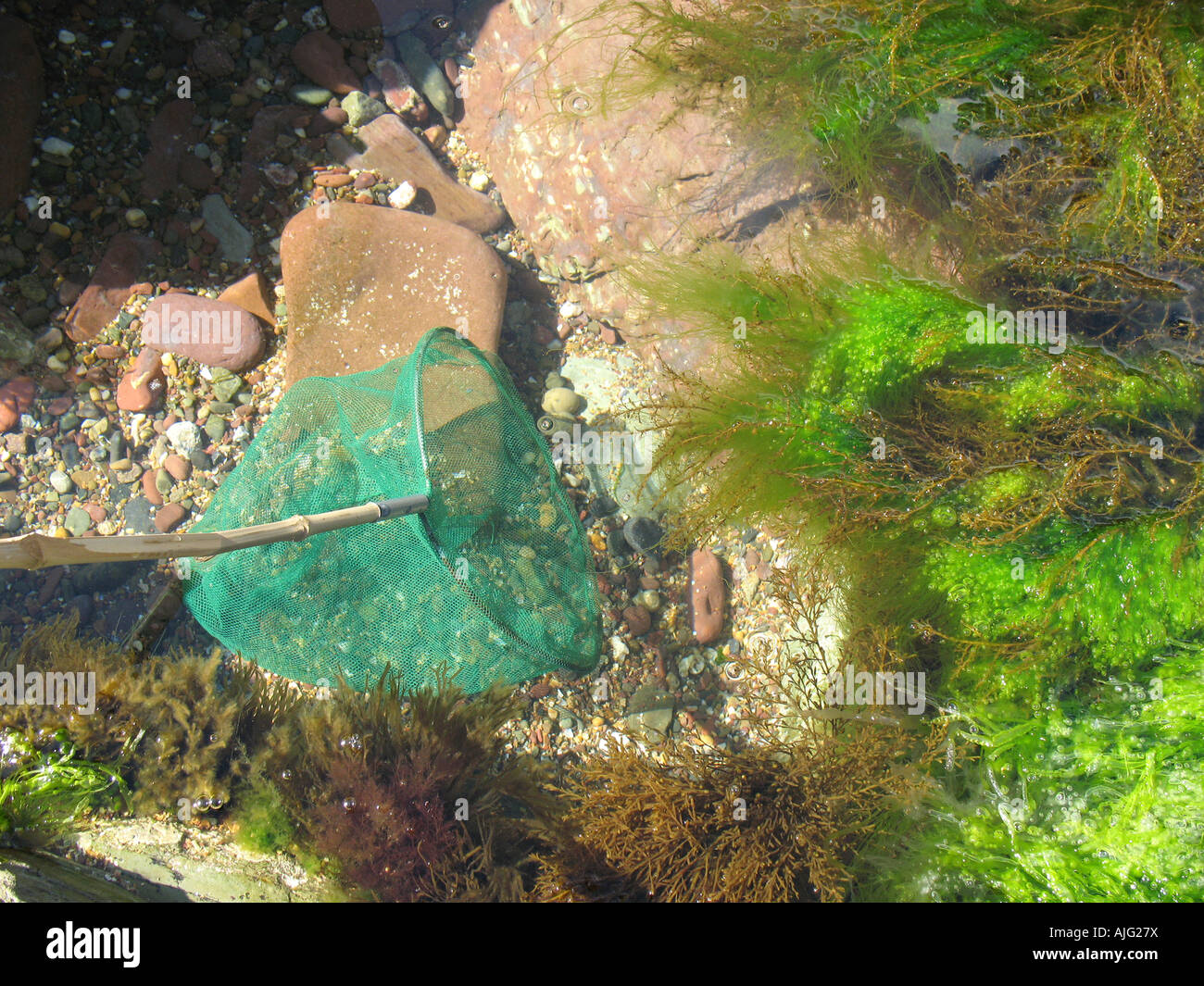 Mise en commun Banque de photographies et d’images à haute résolution ...