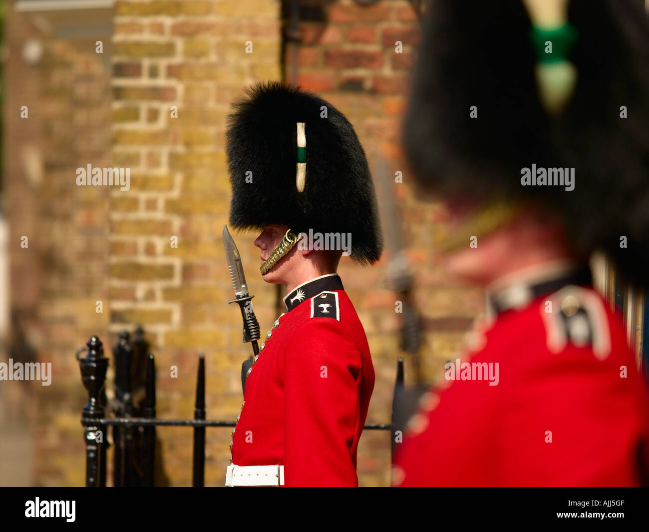 Welsh guards uniform Banque de photographies et d’images à haute ...