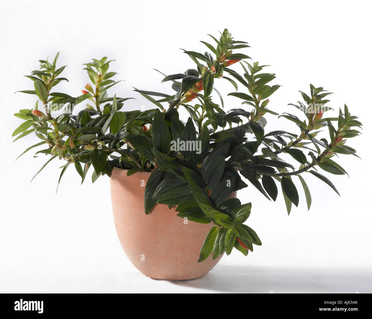 Colonne colonne colonne sp Banque de photographies et d’images à haute ...