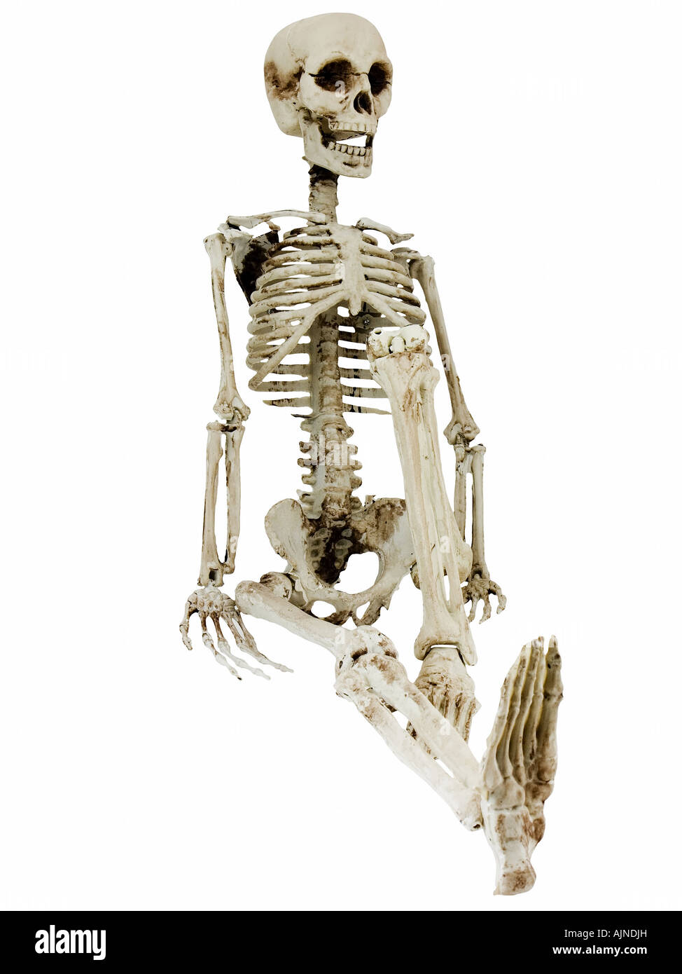 Squelette humain assis Banque de photographies et d’images à haute ...