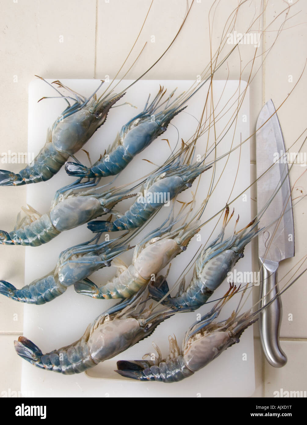 Crevettes géantes ou les crevettes fraîches Photo Stock - Alamy
