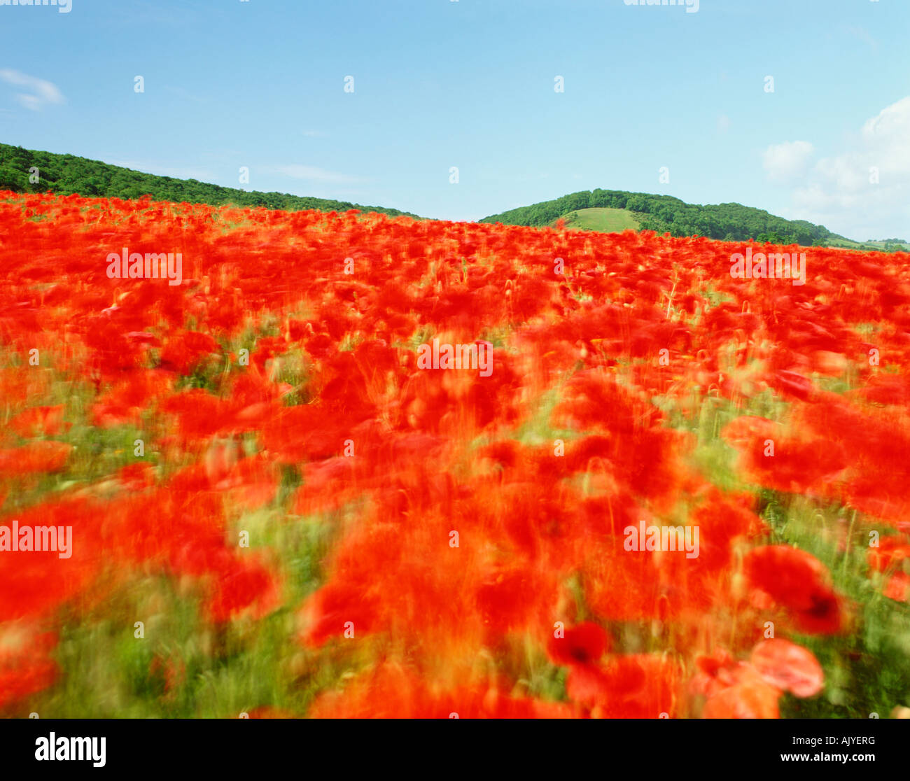 Alkham valley Banque de photographies et d’images à haute résolution ...