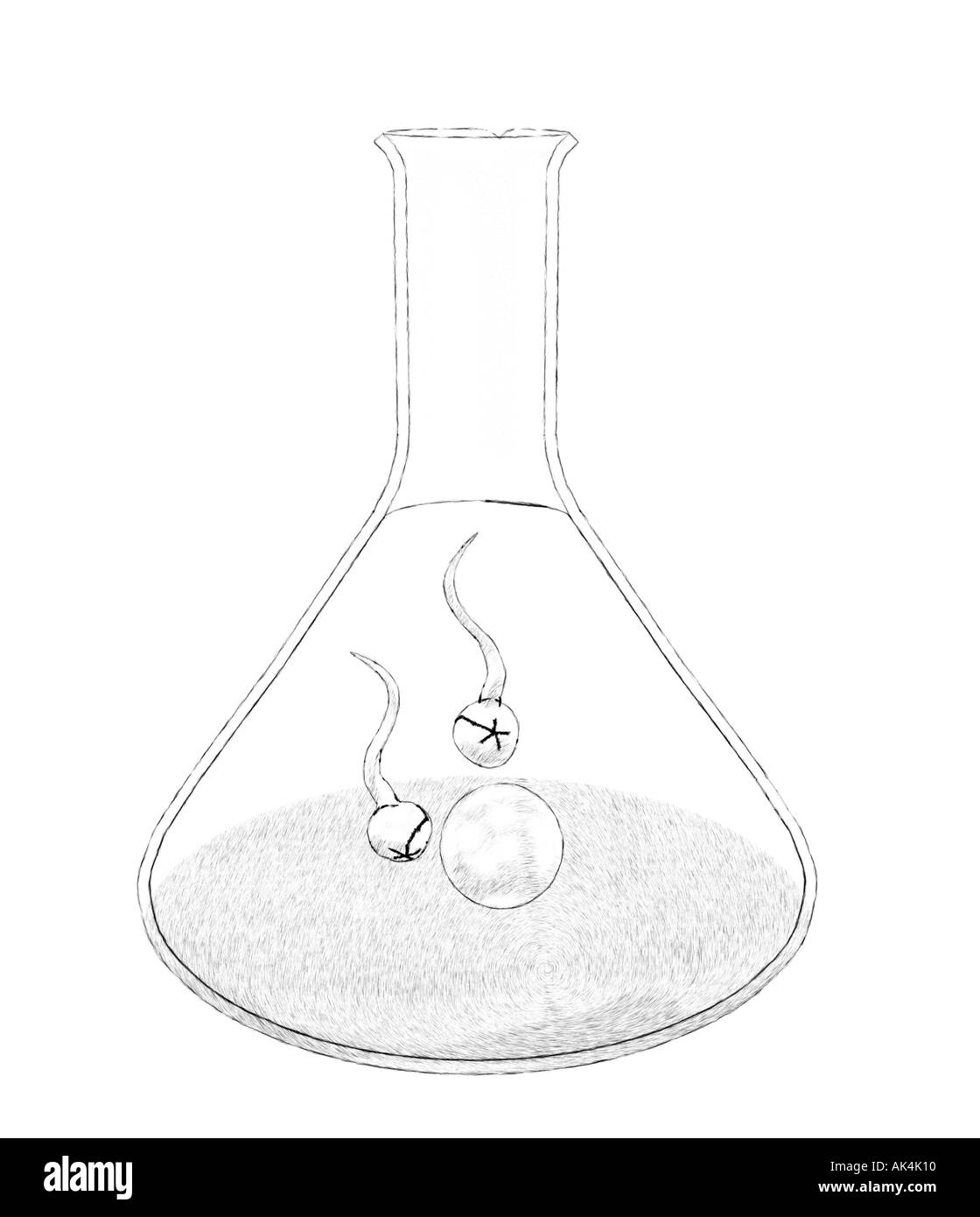 Spermatozoïde ovule Banque d'images noir et blanc - Alamy