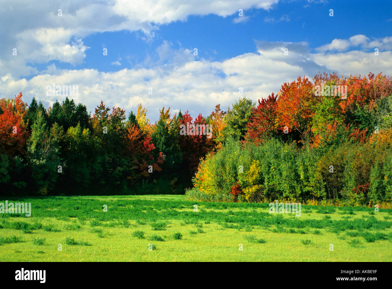 Oka parc national Banque de photographies et d’images à haute ...
