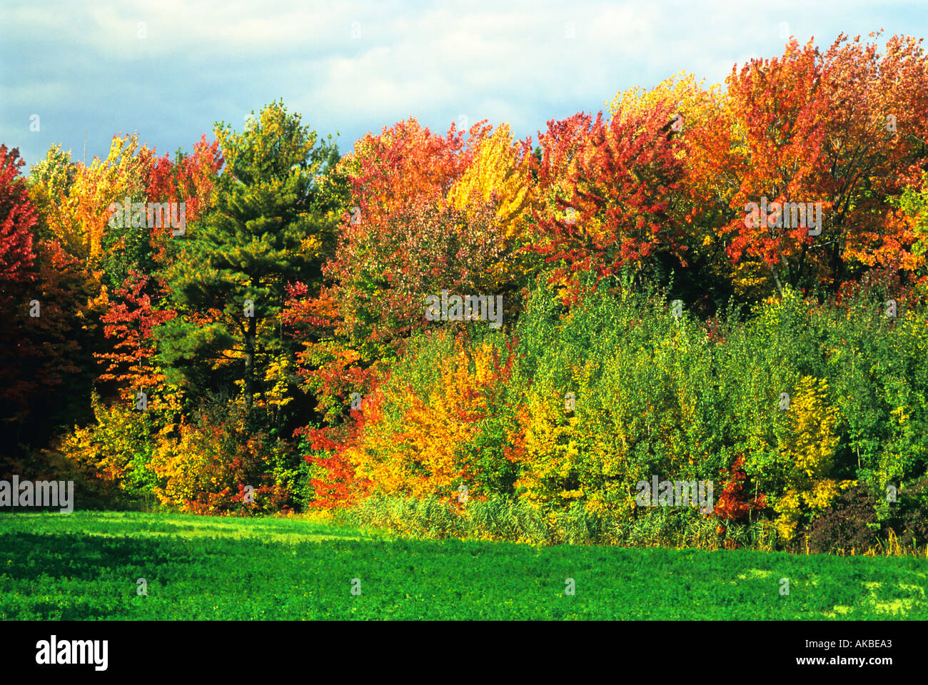 Oka parc national Banque de photographies et d’images à haute ...