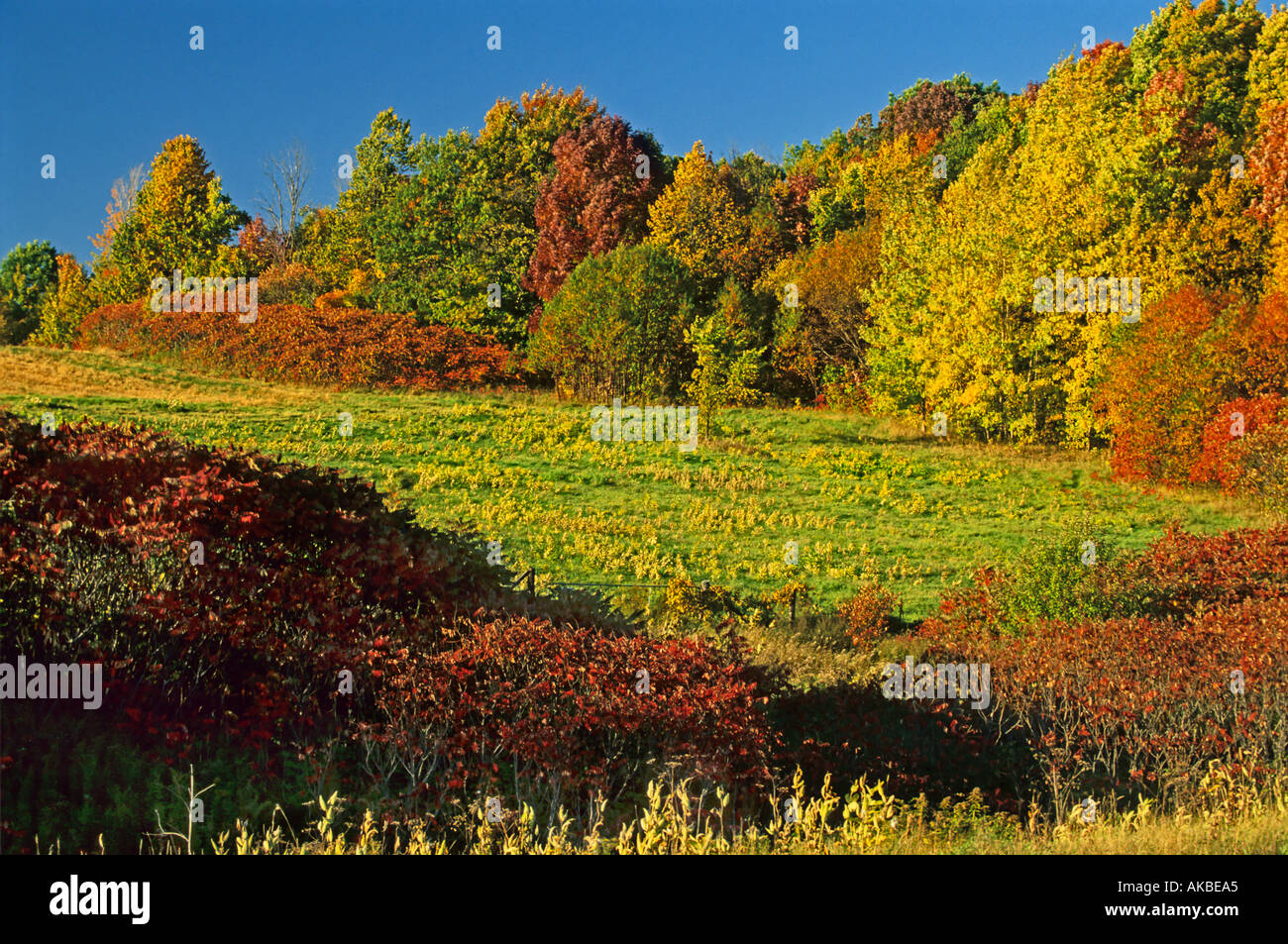 Oka parc national Banque de photographies et d’images à haute ...