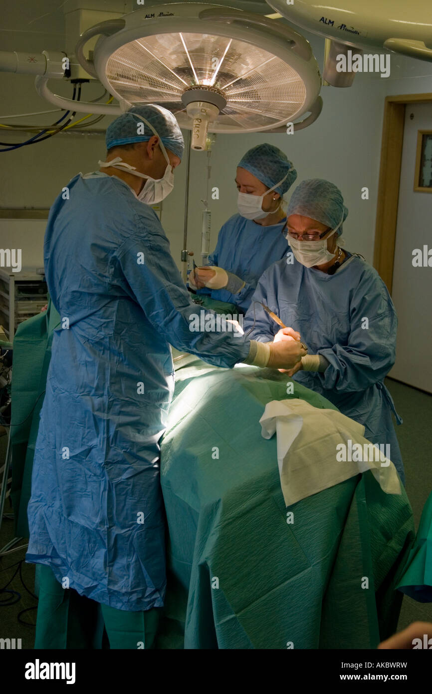 Chirurgie de l'oreille Banque de photographies et d’images à haute ...