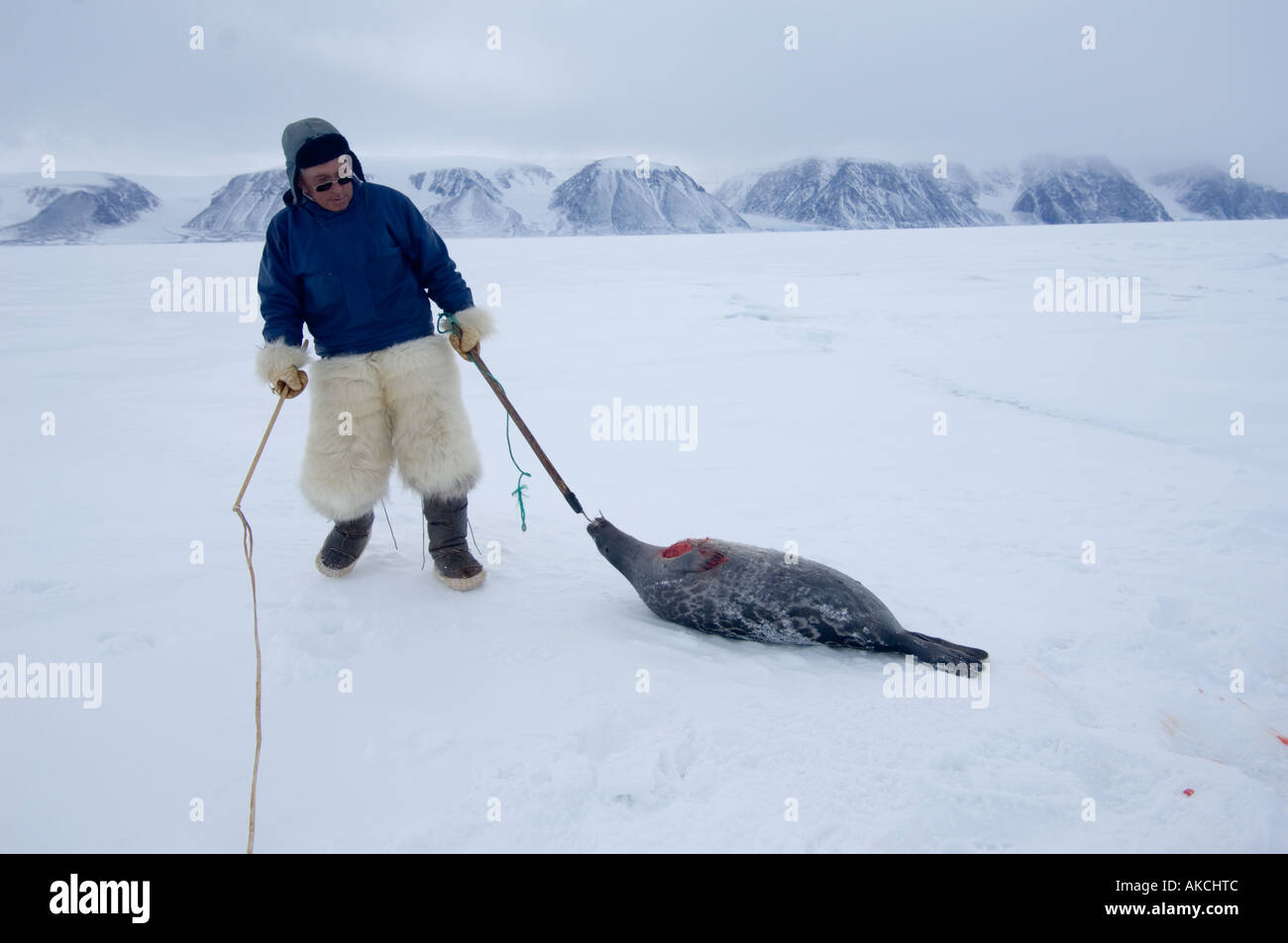 Chasse inuit au canada Banque de photographies et d’images à haute ...