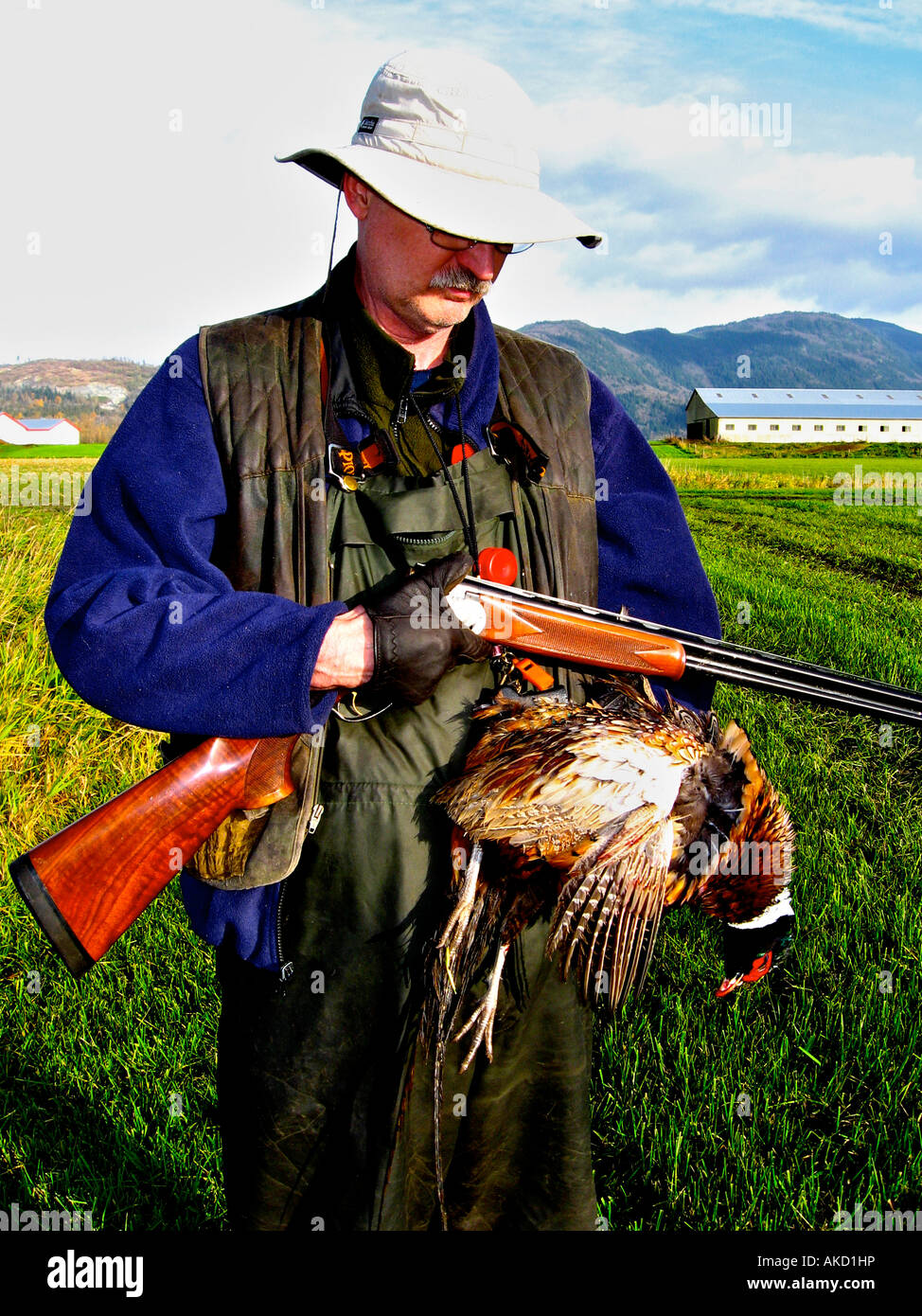 Chasse au faisan Photo Stock - Alamy