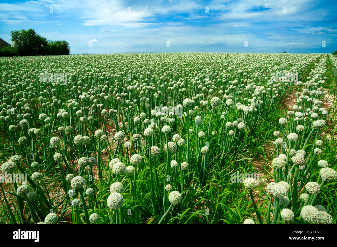 Loiret region Banque de photographies et d’images à haute résolution - Alamy