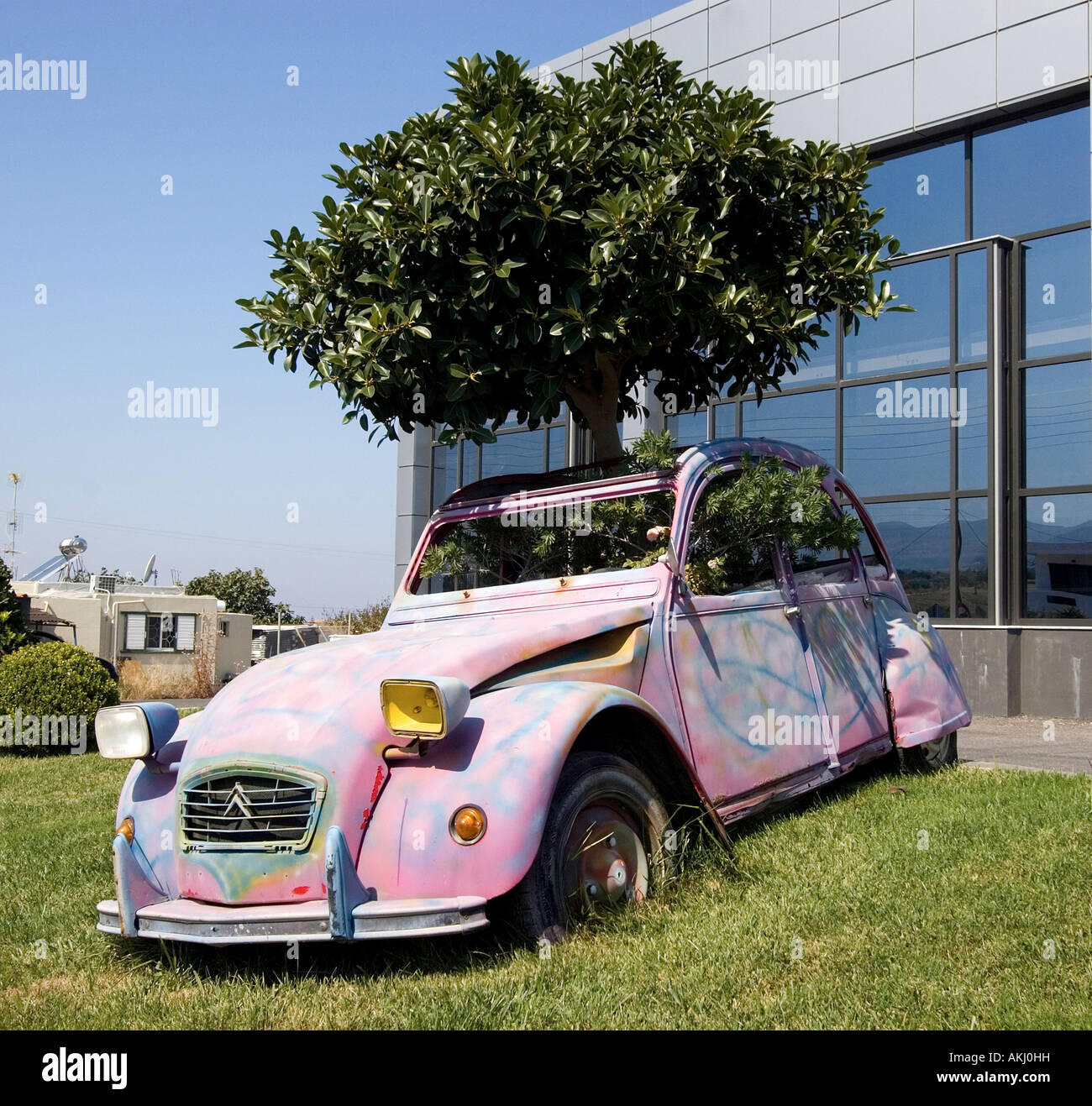 Arbre qui pousse hors de Citreon voitures 2CV,toit ouvrant la Grèce ...