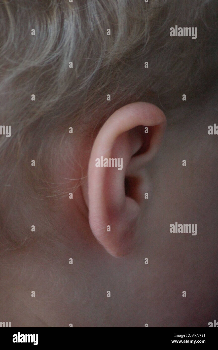 Oreille oreille Childs entendre l'acouphène audition biologie anatomie ...
