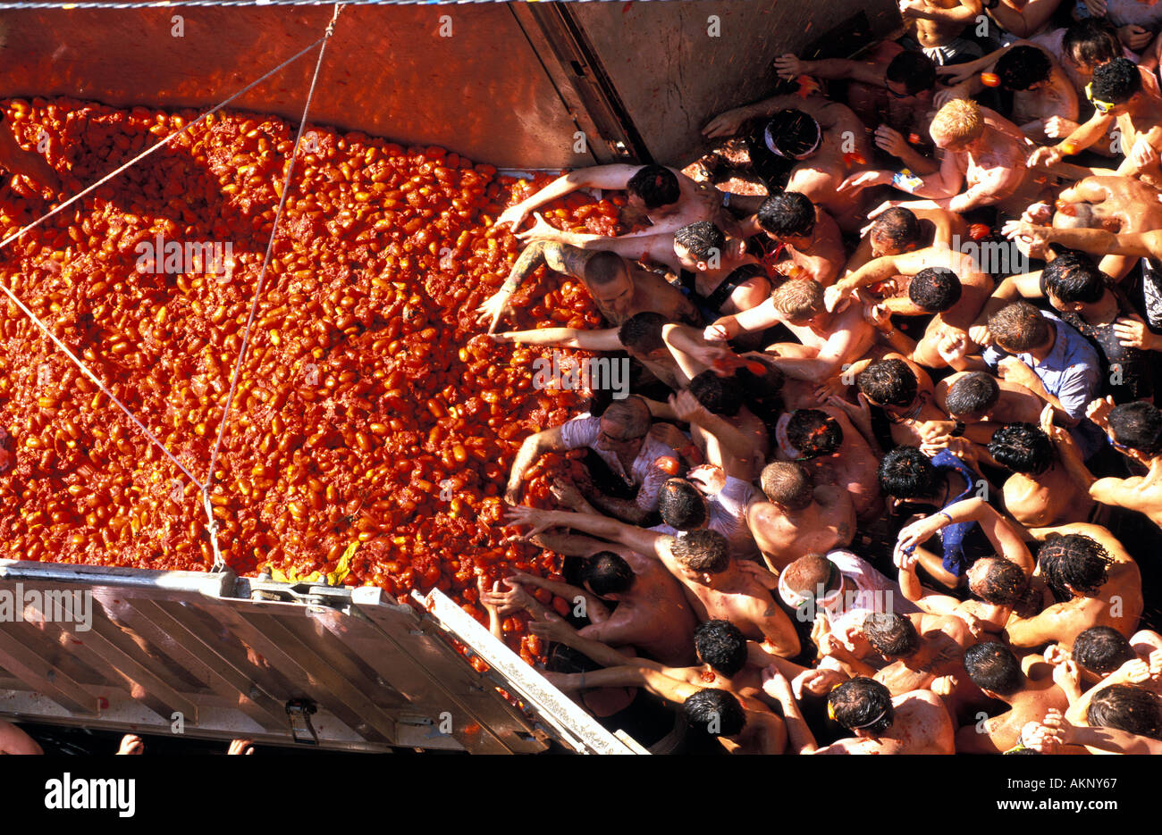 Tomatina festival Banque de photographies et d’images à haute ...