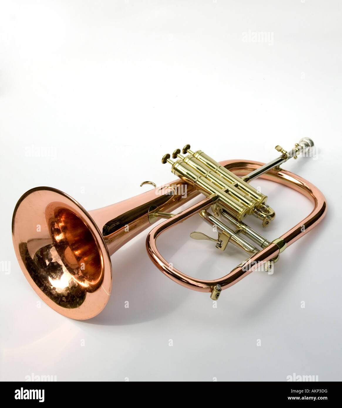 Bugle instrument Banque de photographies et d’images à haute résolution ...