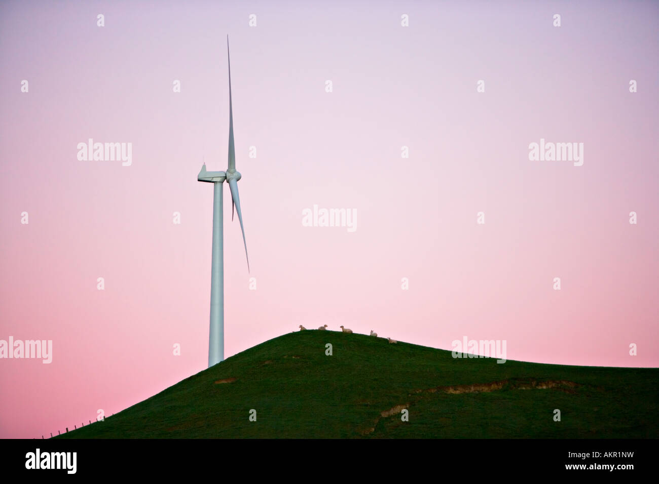 Te apiti wind farm Banque de photographies et d’images à haute ...