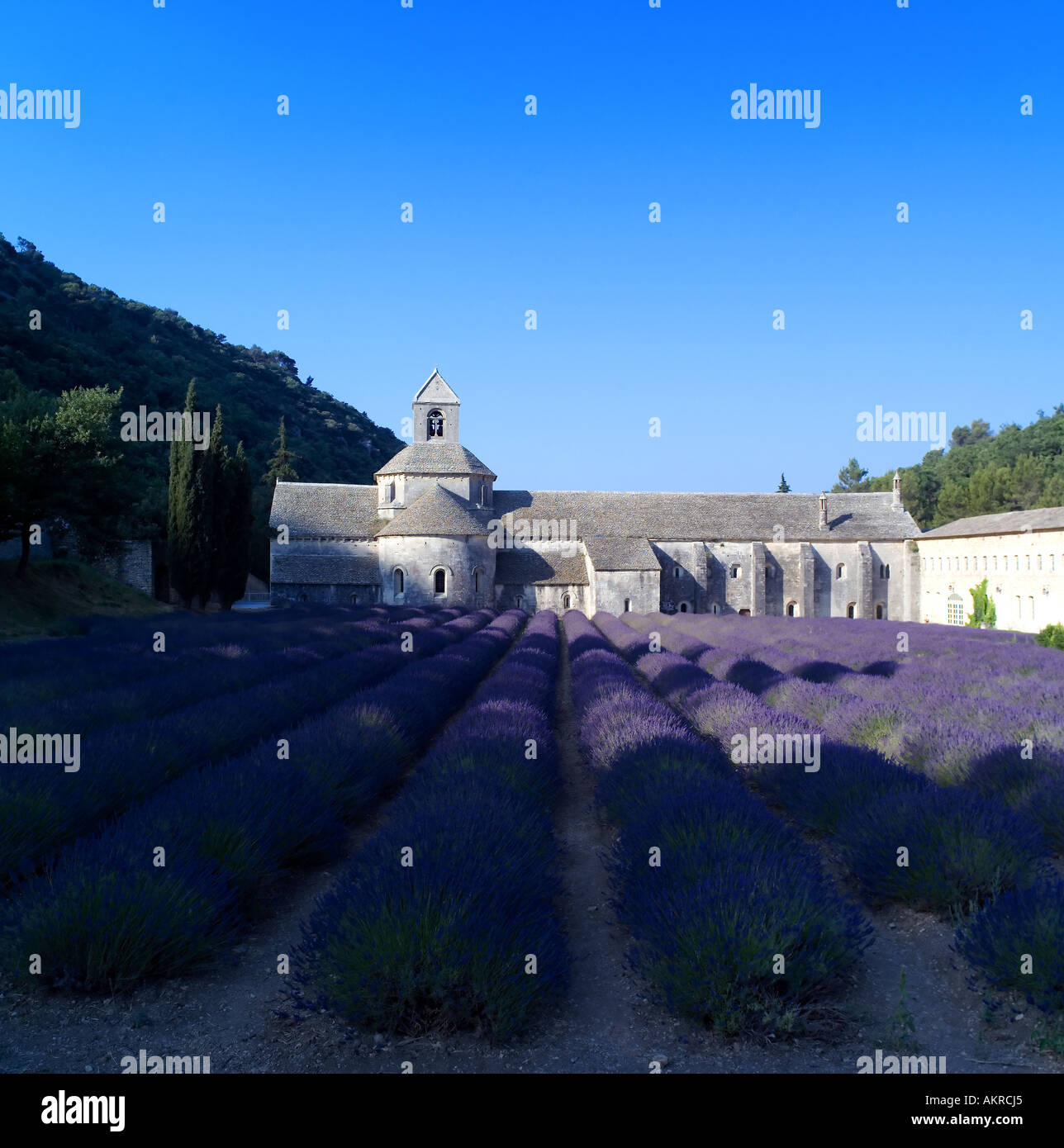 Abbaye de Sénanque, abbaye cistercienne du xiie siècle, et le monastère ...