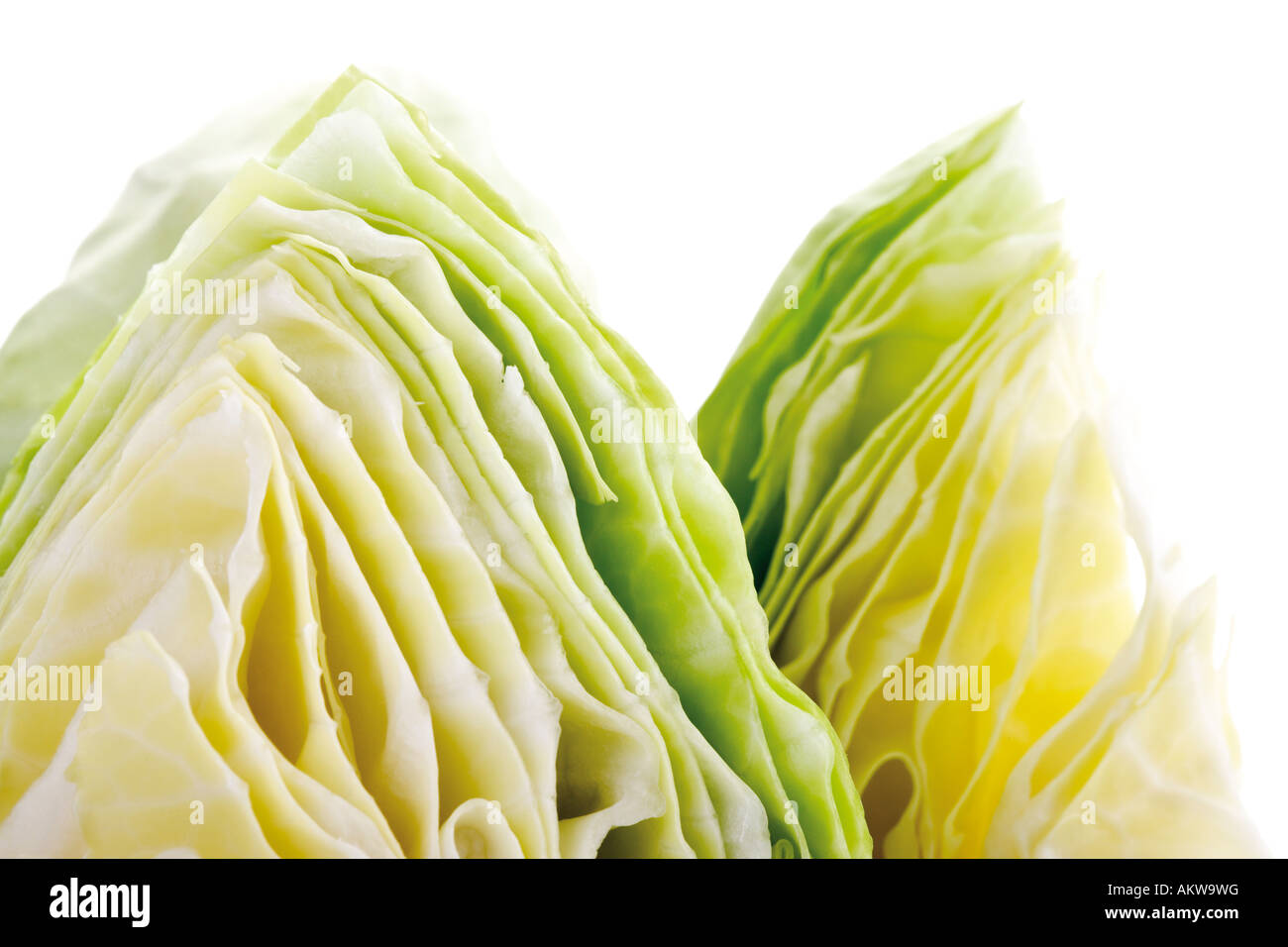 Choux pointus Banque de photographies et d’images à haute résolution ...