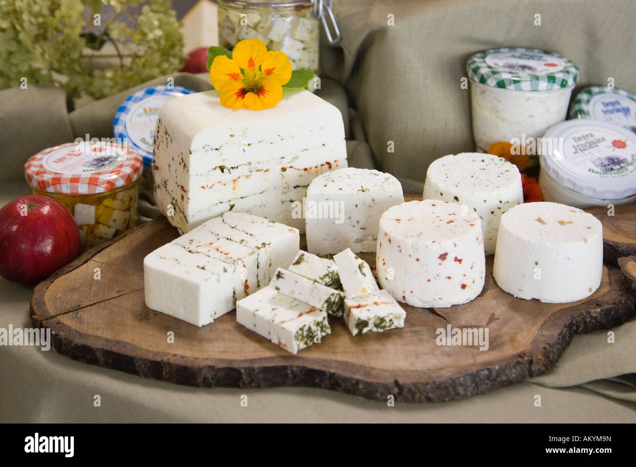 Différents types de fromages Photo Stock - Alamy