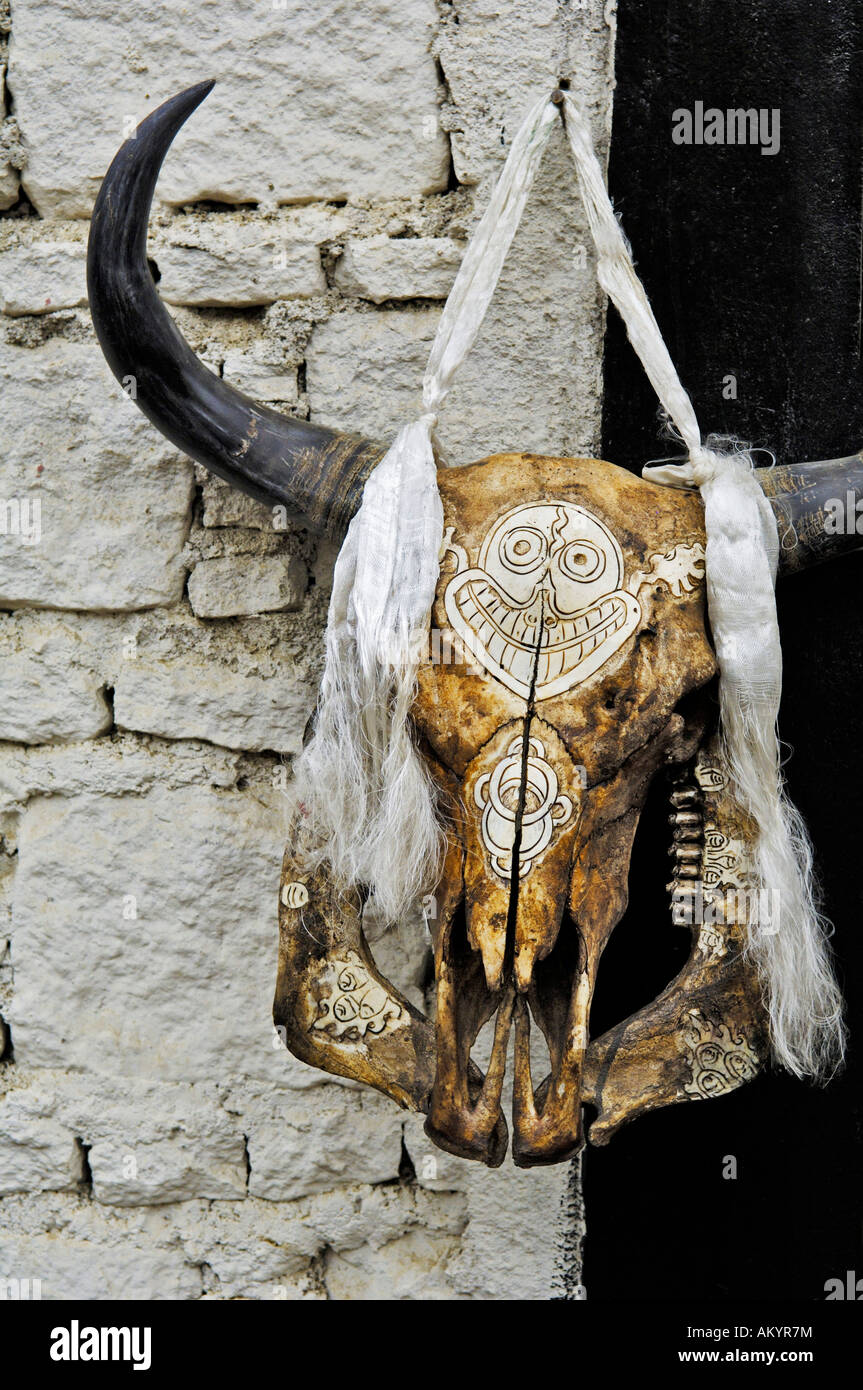 Os de yak Banque de photographies et d’images à haute résolution - Alamy