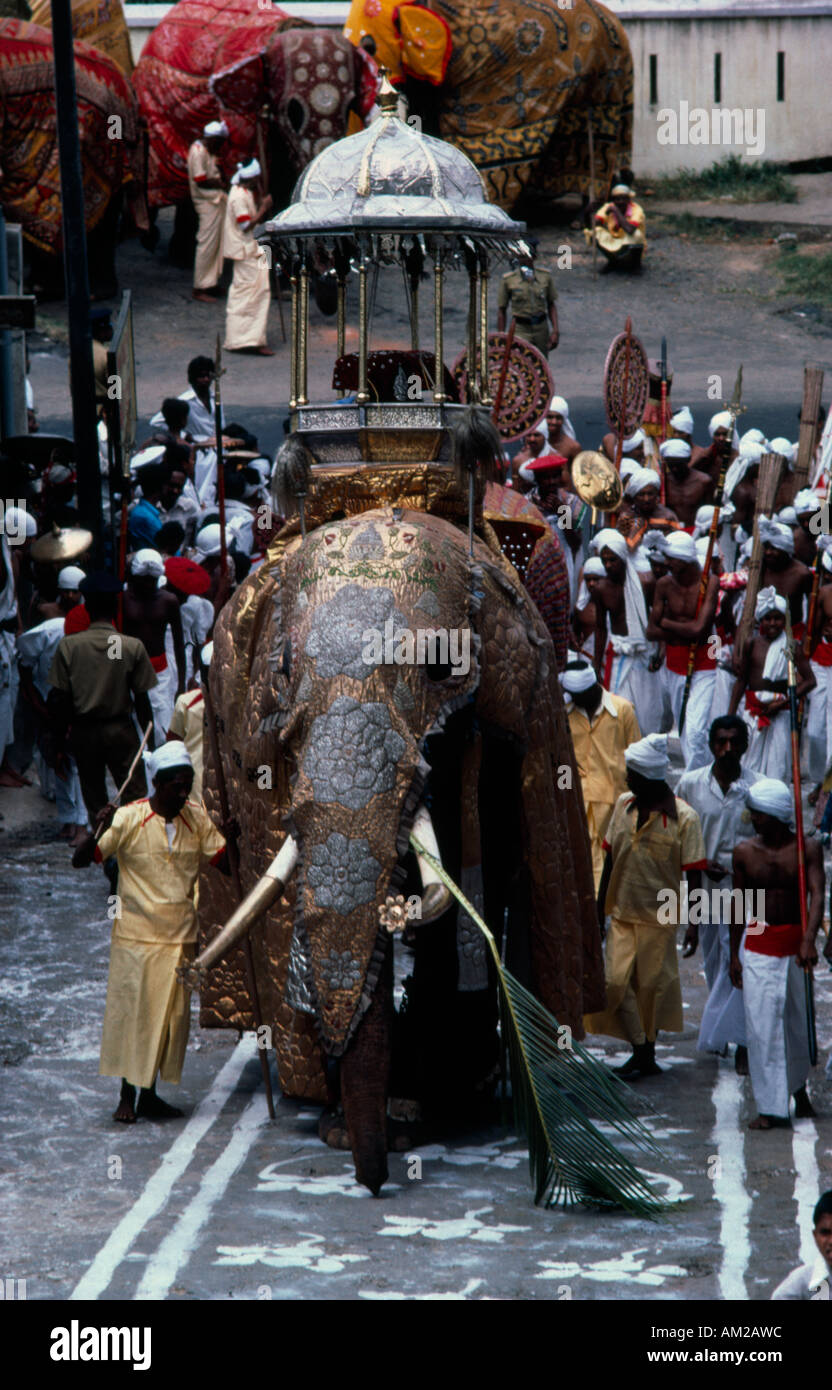 SRI LANKA Asie du Sud Kandy Esala Perahera Maligawa Tusker elephant ...