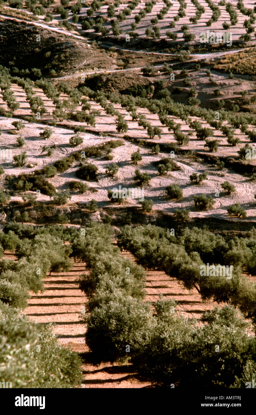Jodar in andalusia spain Banque de photographies et d’images à haute ...