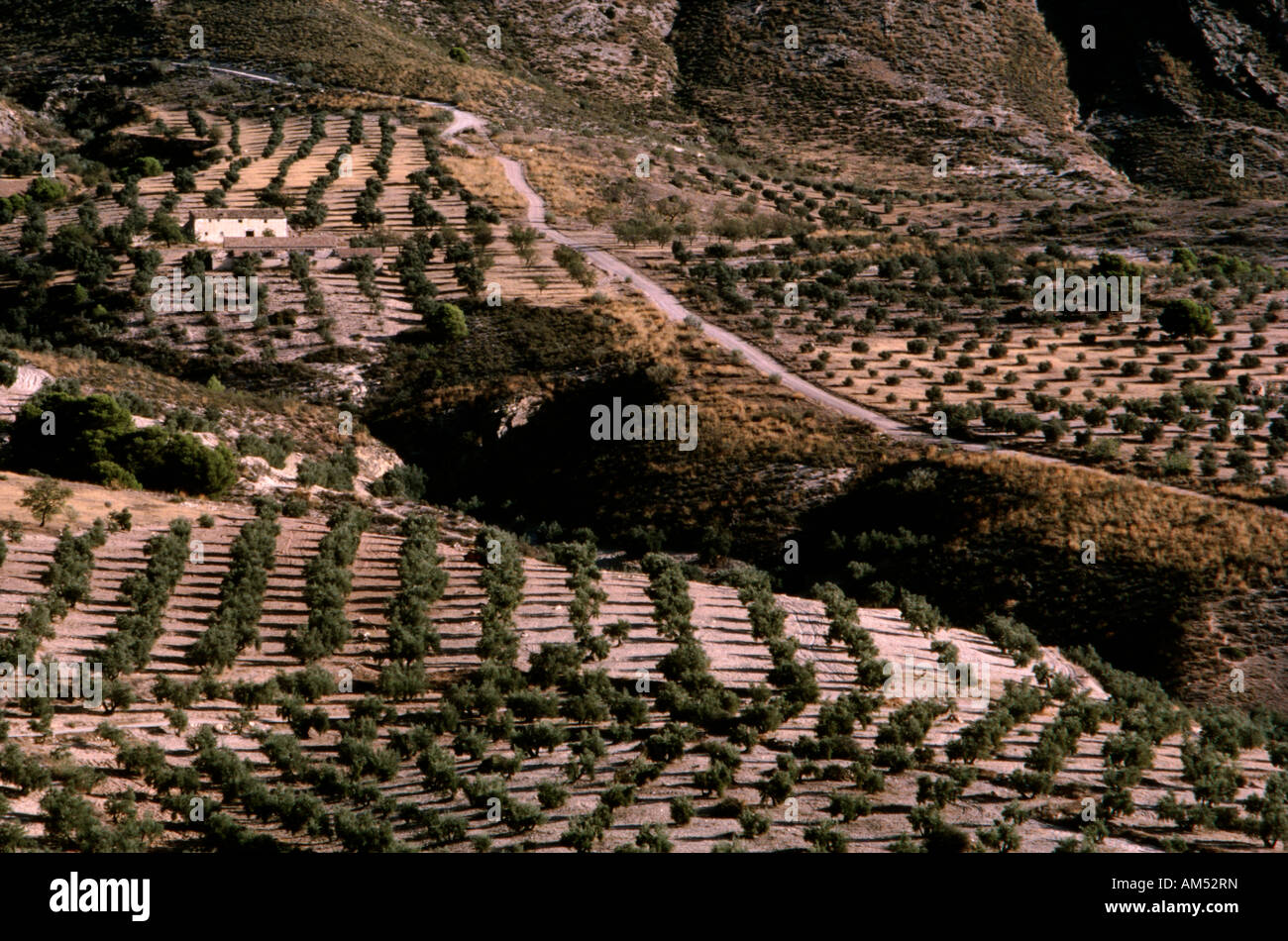 Jodar in andalusia spain Banque de photographies et d’images à haute ...