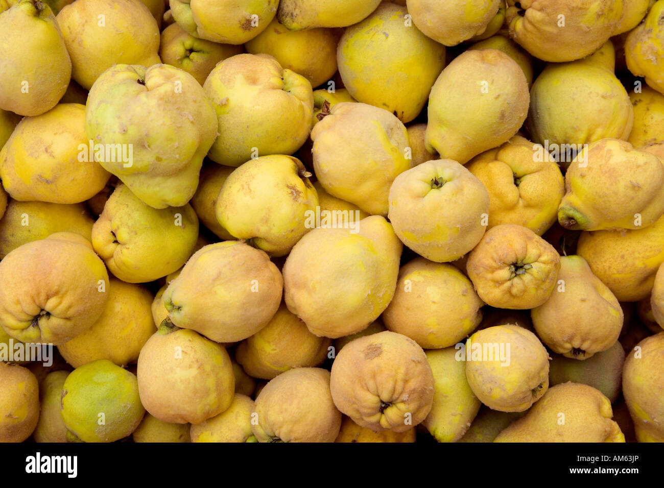 Coings avec Banque de photographies et d’images à haute résolution - Alamy