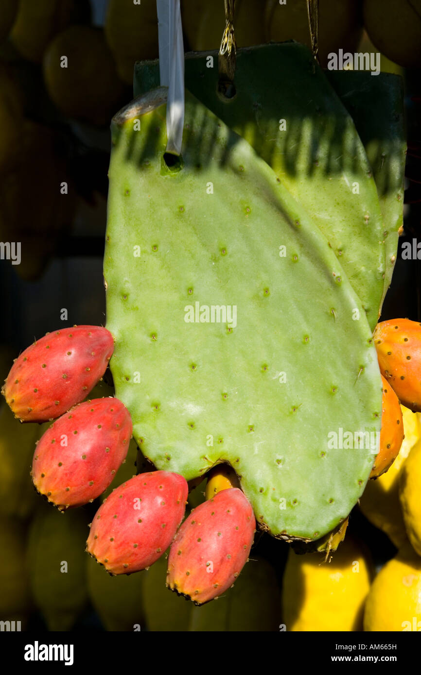 Plante de figues de barbarie Banque de photographies et d’images à ...