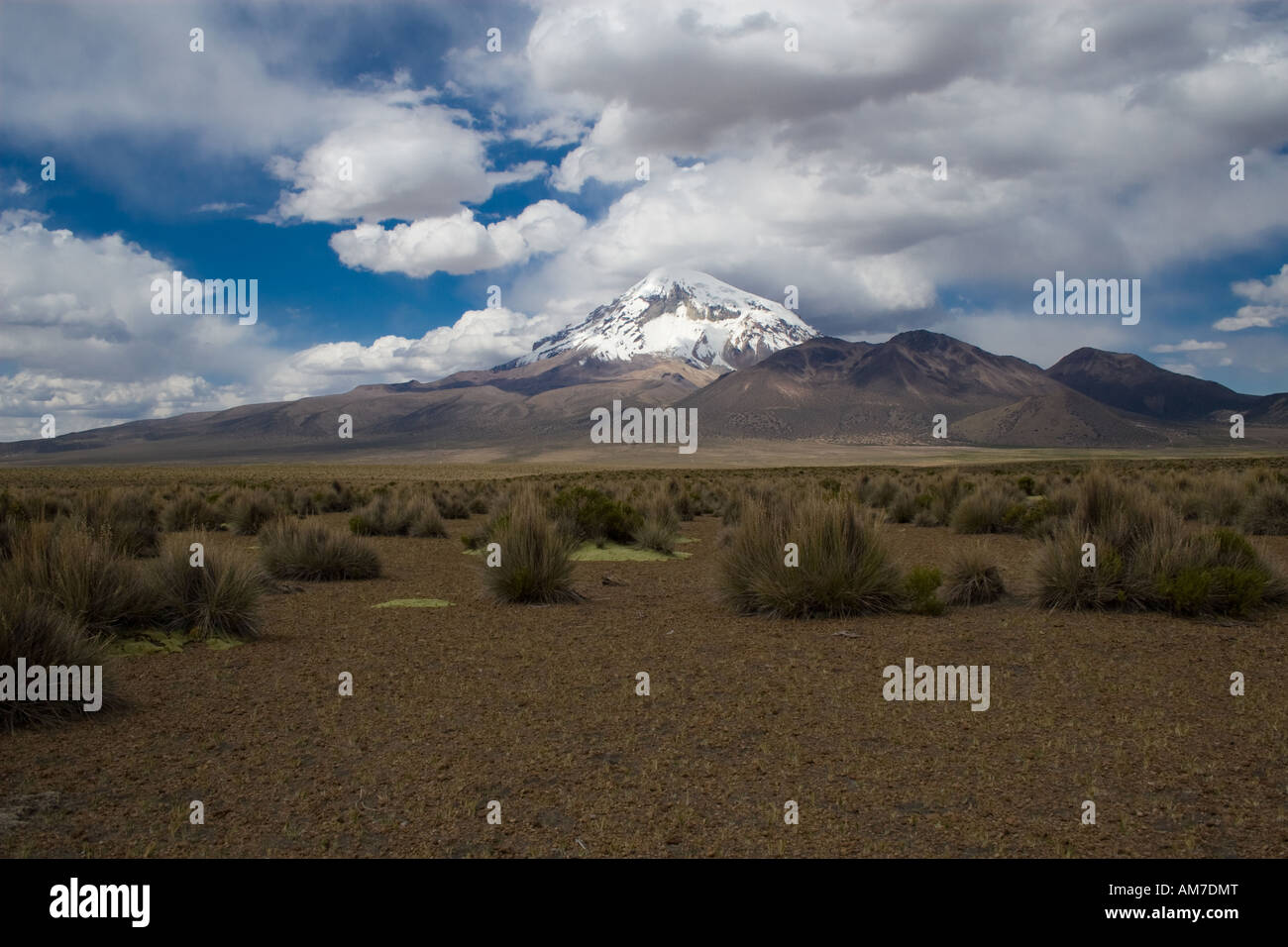 Volcan Nevado Sajama Banque d'image et photos - Alamy