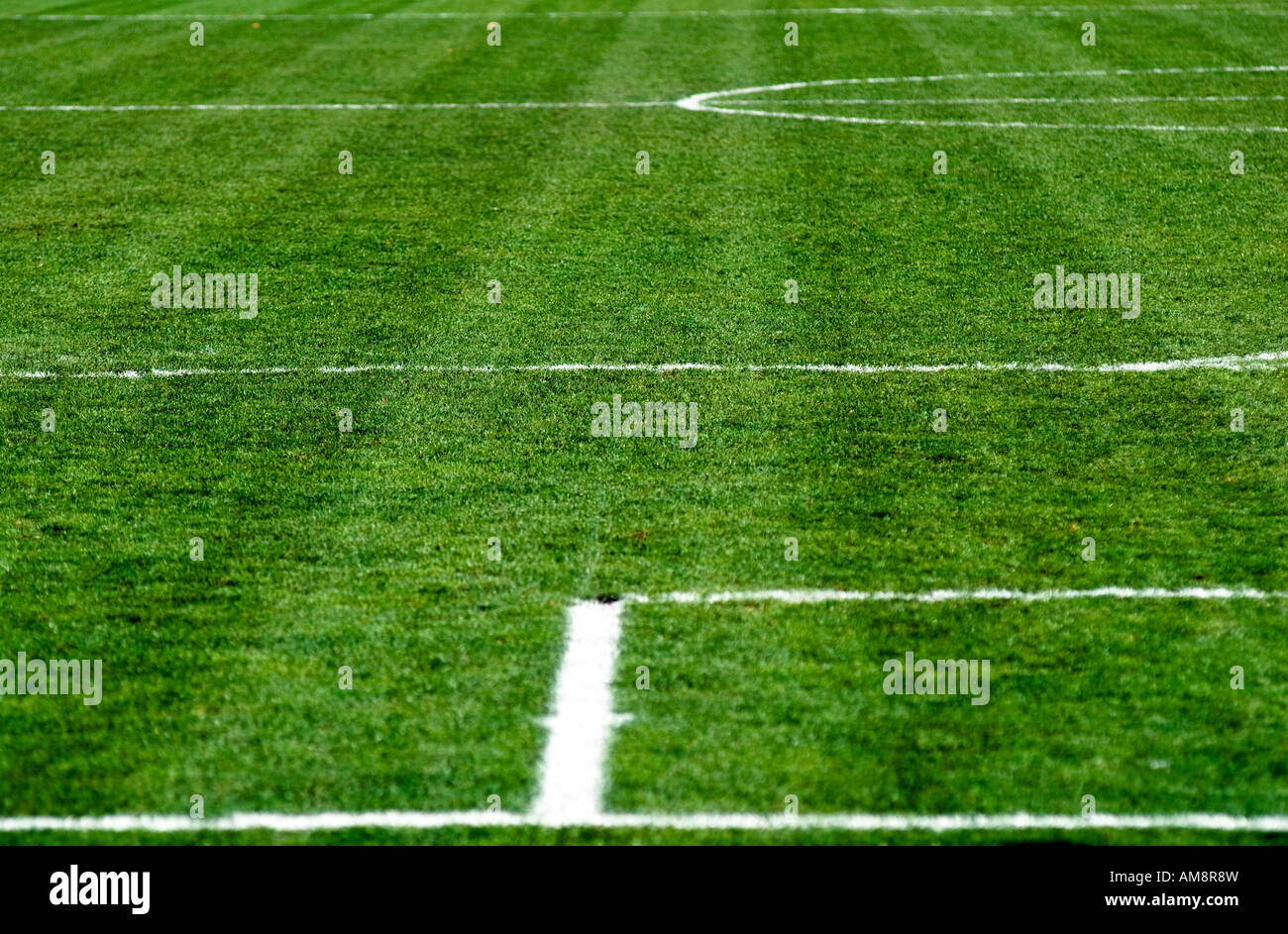 Terrain de soccer Banque de photographies et d’images à haute ...