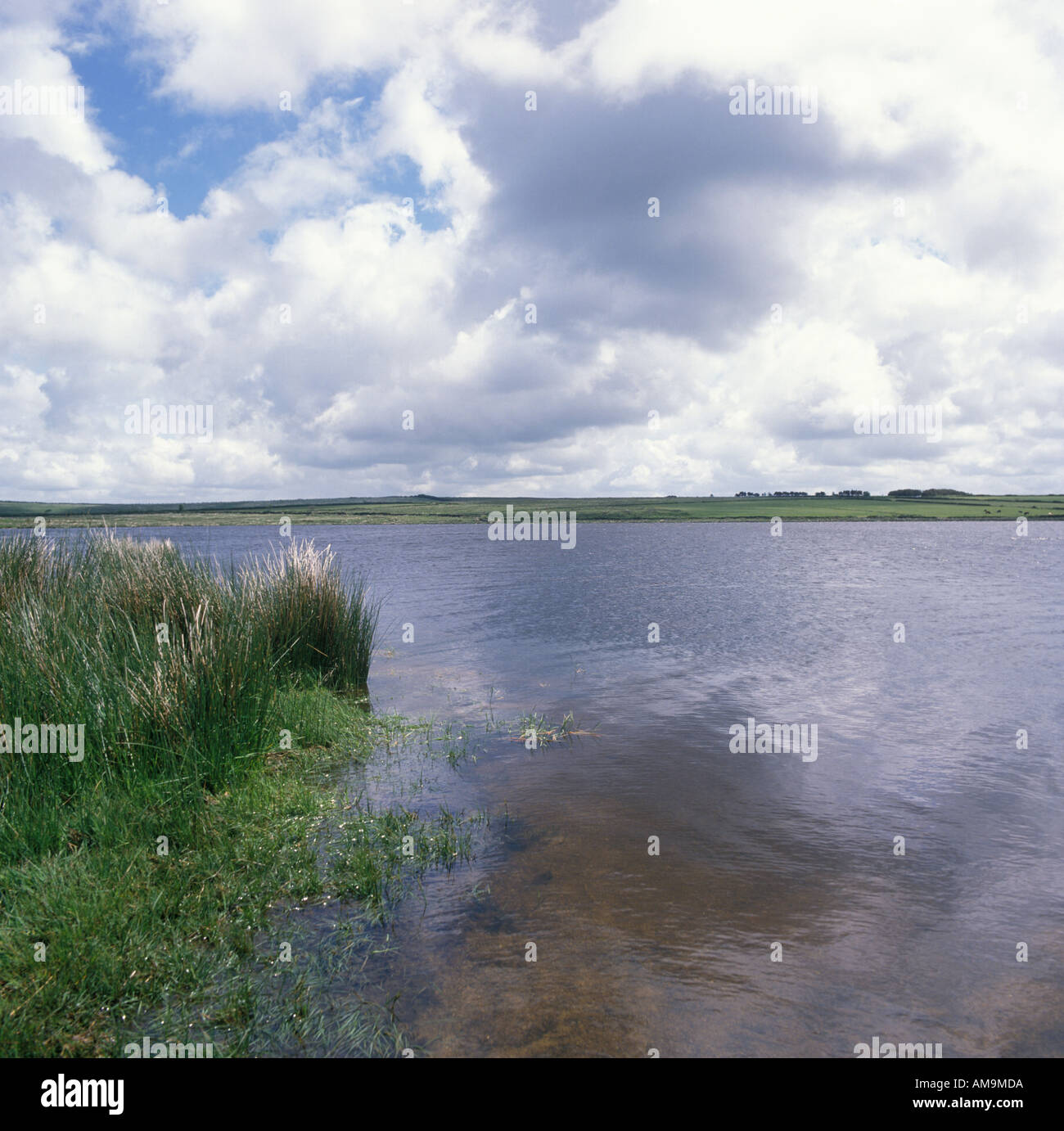 Piscine dozmary Banque de photographies et d’images à haute résolution ...
