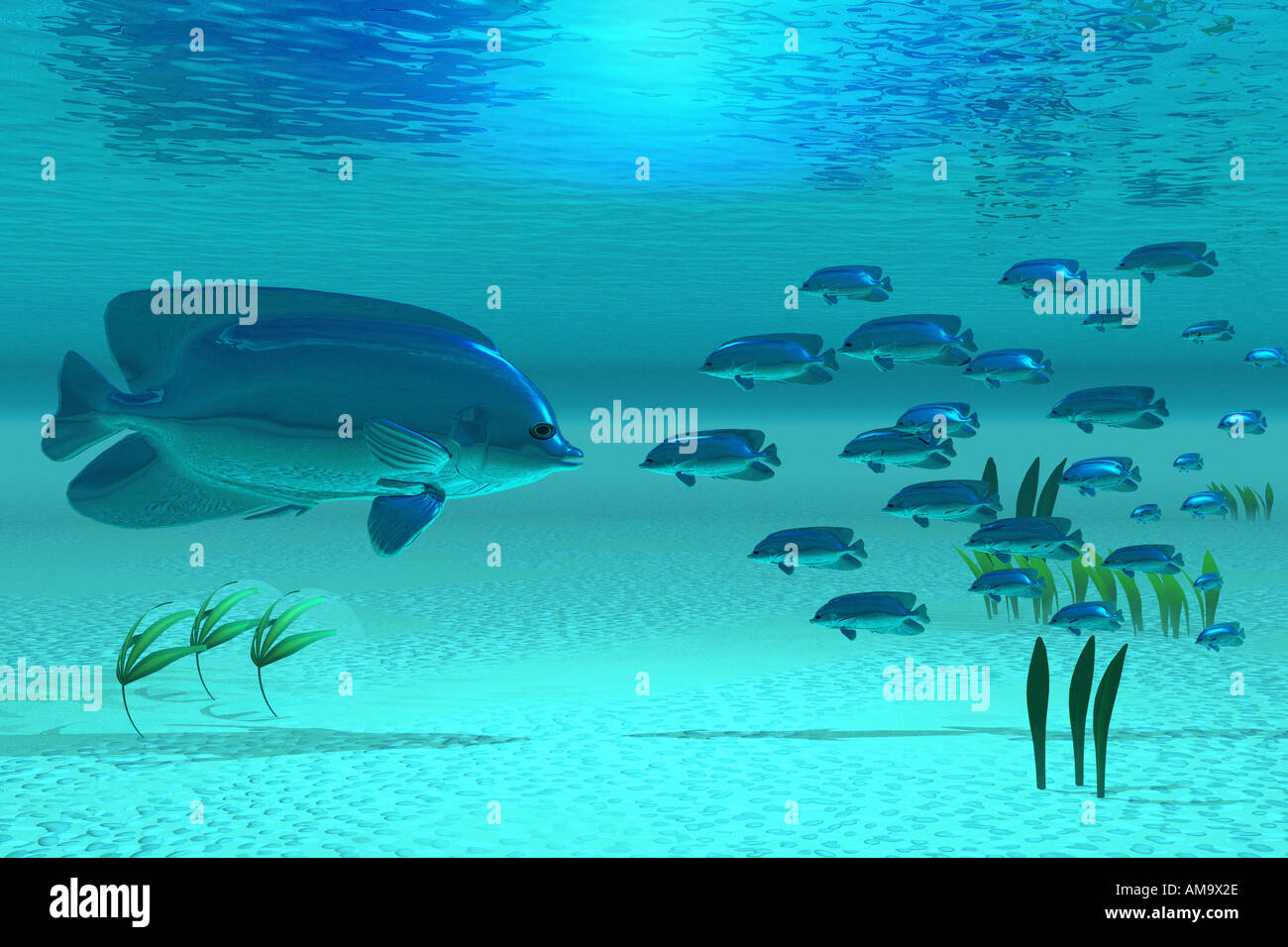 Histoire de poisson Banque de photographies et d’images à haute ...