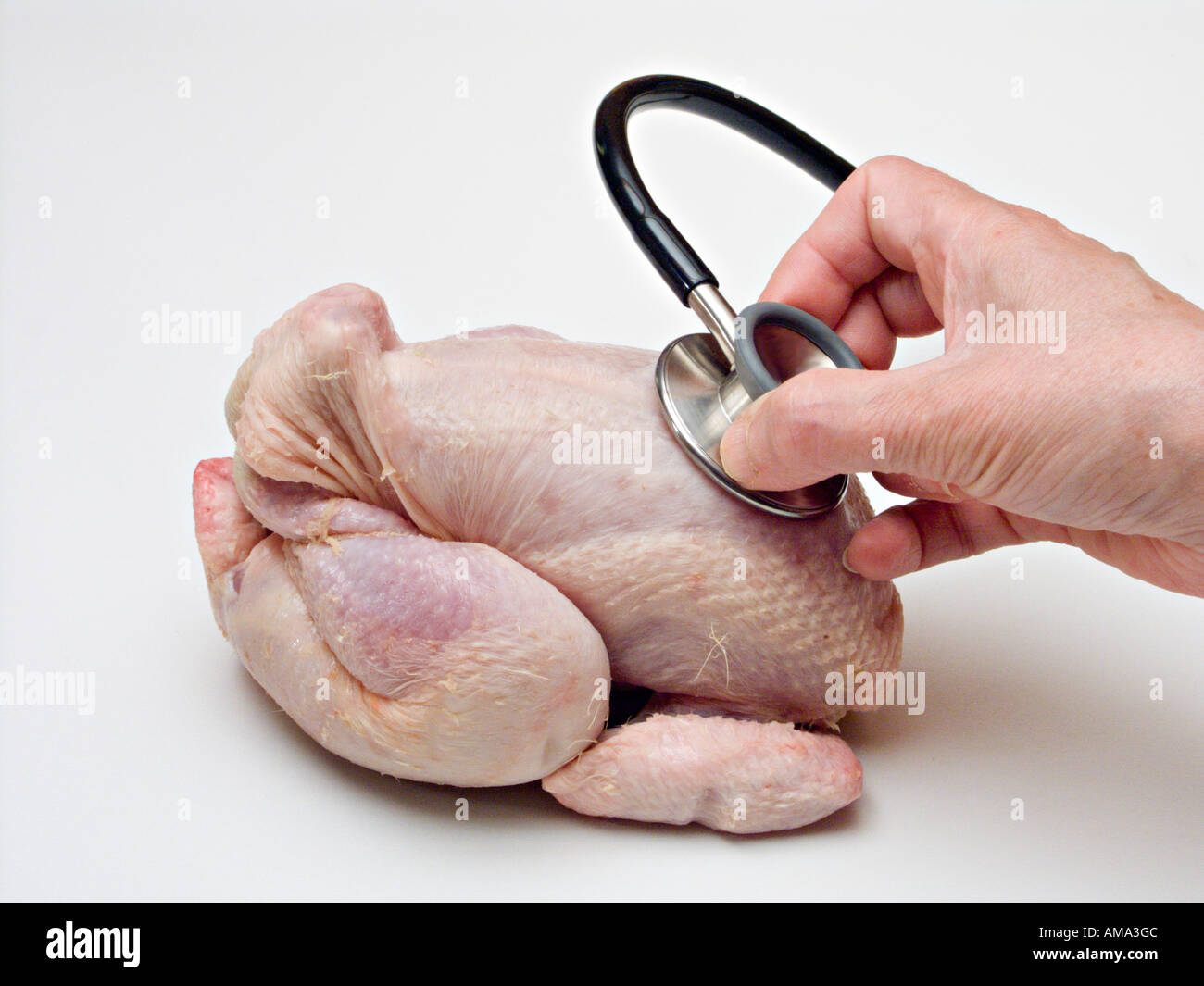 Poulet plumé Banque de photographies et d’images à haute résolution - Alamy